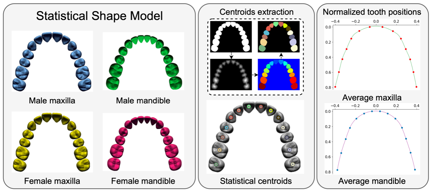 Orthodontic treatment planning - Centre for Computational Personalized ...