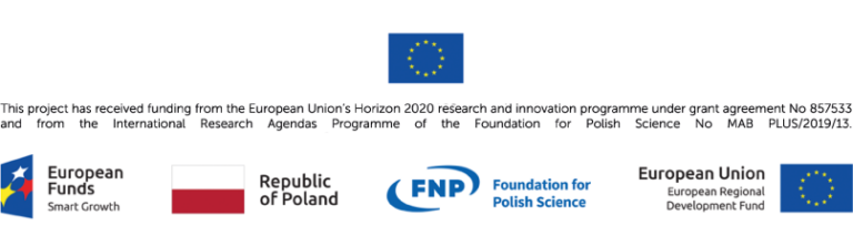 The Dutch PhD Defence: A Blend of Ceremony, Support, Rigor